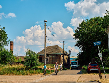 - CC De Steiger Boom